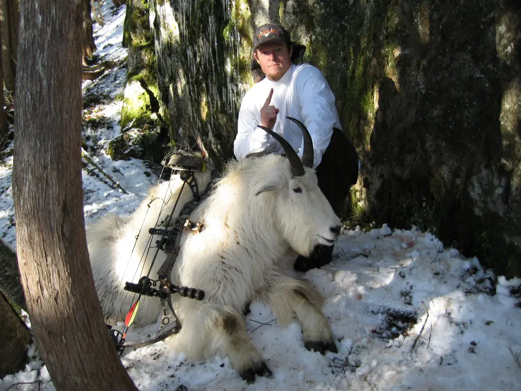 P&Y World Record Mountain Goat Taken by Shad Wheeler
