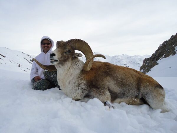 Hunting Marco Polo Sheep in Kyrgyzstan » Outdoors International