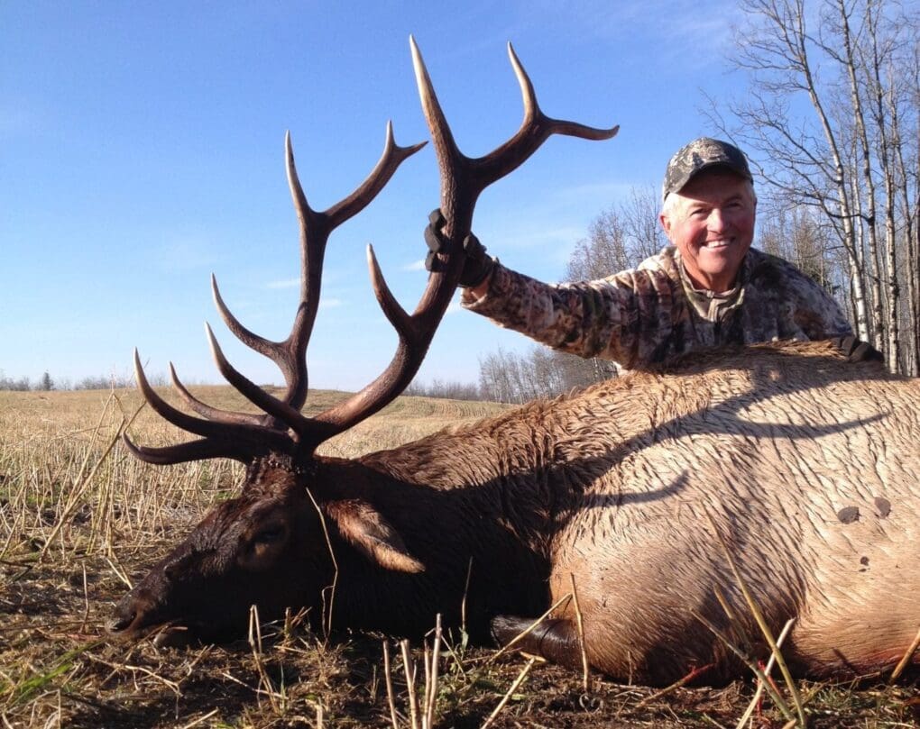 Alberta Elk Hunting Trips » Premier Outfitters