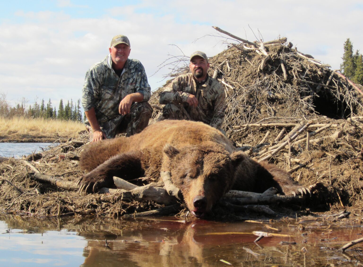 Alaska Brown Bear Hunting Trips » Outdoors International