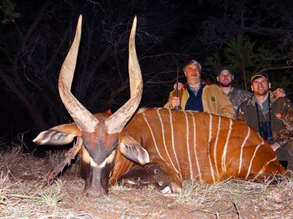 Spiral Horned Antelope of Africa » Outdoors International