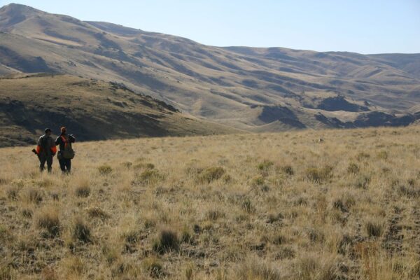 Nevada Chukar Hunting » Outdoors International
