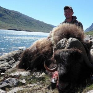 Greenland Muskox Hunt - Outdoors International