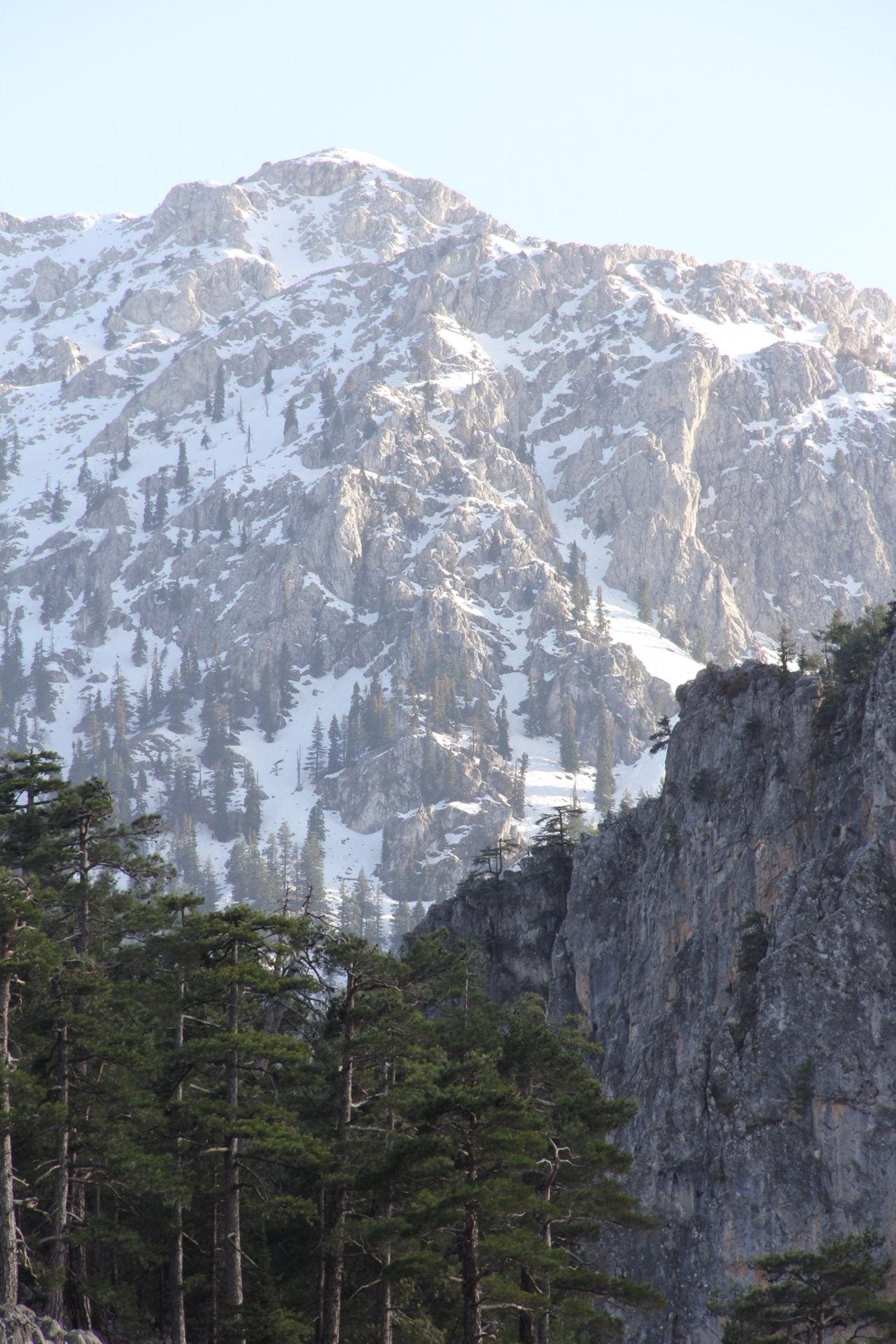 Episode #9 – Bezoar Ibex Hunt Report - OUTDOORS INTERNATIONAL