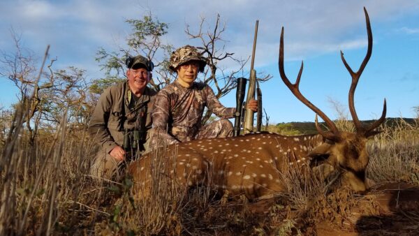 Axis Deer Hunting in Hawaii » Outdoors International