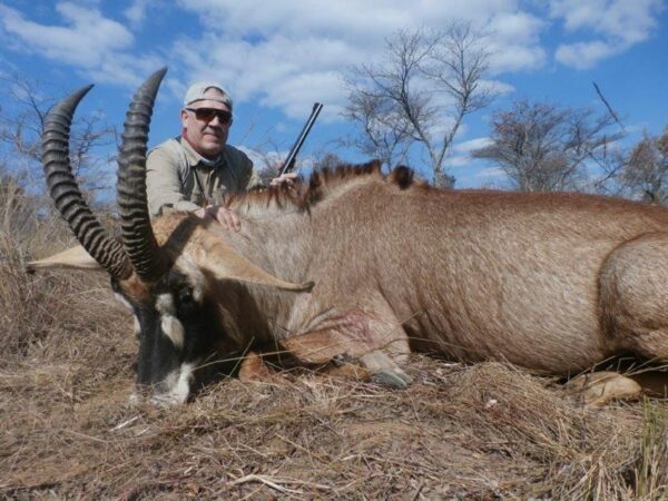 Roan Antelope Hunting: A Comprehensive Guide » Outdoors International
