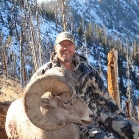 OVIS World Slam – Wild Sheep of the World