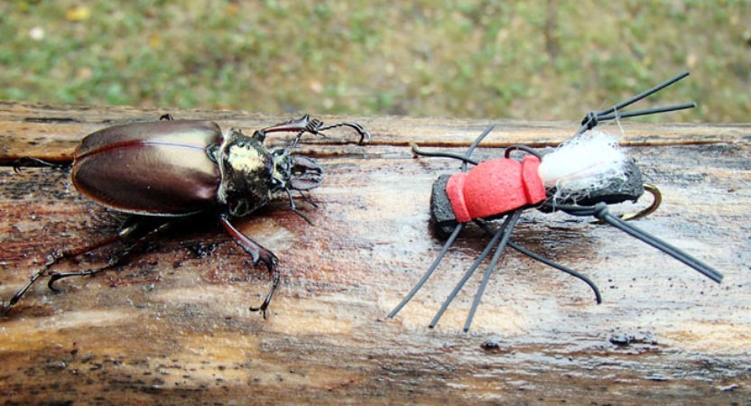 The Cantaria Beetle - Patagonia Chile’s finest dry fly fishing ...
