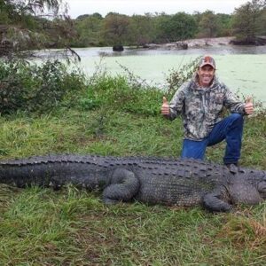 Florida Alligator Hunt - Outdoors International