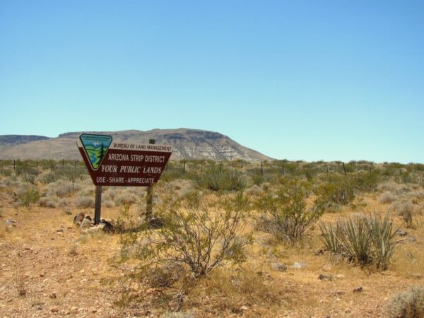 The Arizona Strip: Units 13A & 13B » Outdoors International