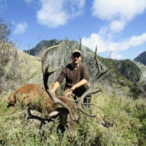 Free Range Red Stag Hunting New Zealand » Outdoors International