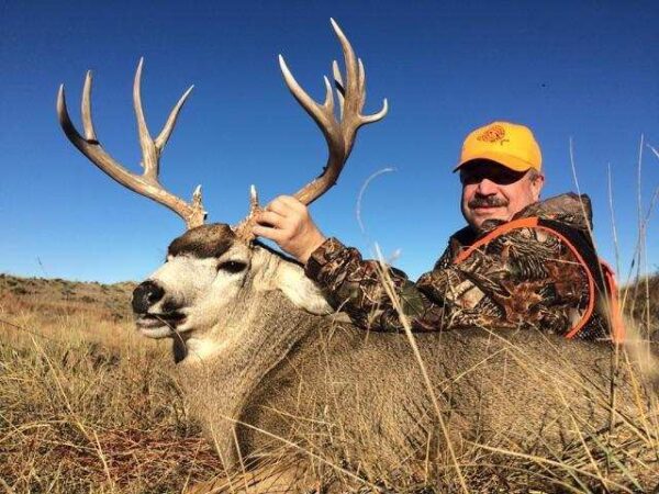 Nebraska Mule Deer Hunting » Outdoors International