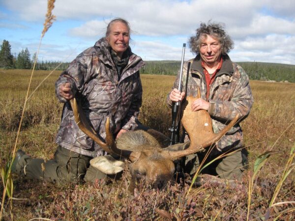 Newfoundland Moose Hunt » Outdoors International