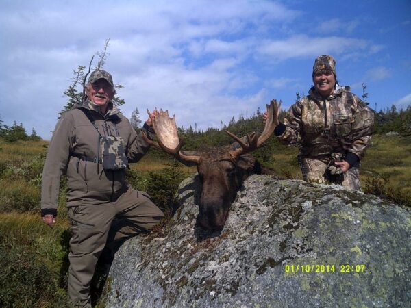 Newfoundland Moose Hunt » Outdoors International