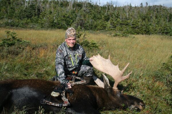 Newfoundland Moose Hunt » Outdoors International