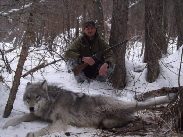 Wolf Hunt in Idaho » Outdoors International