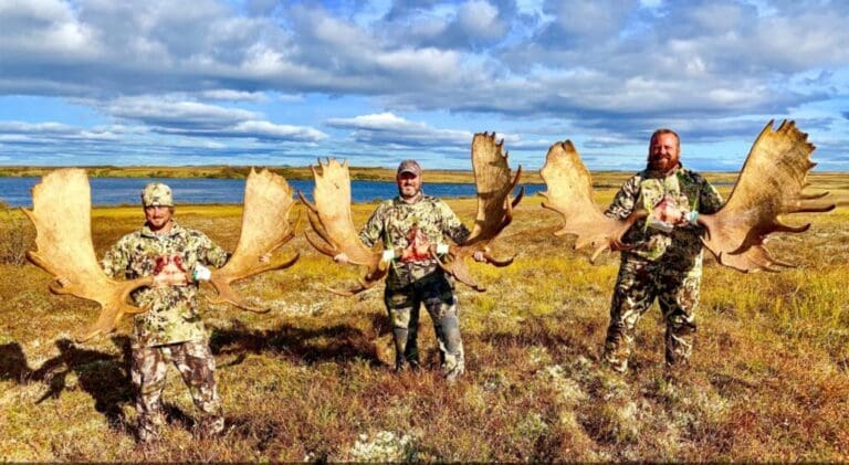 Brian Stone: Alaska Unguided Moose Hunt Report