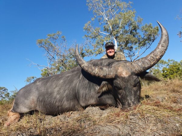 Australia Water Buffalo Hunt » Outdoors International
