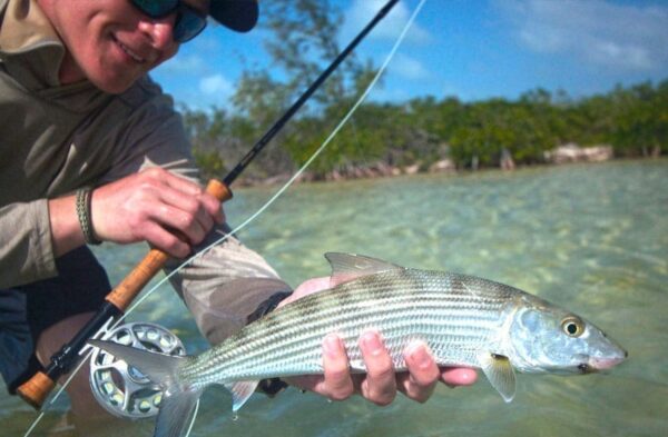 Ben Stevens: Belize Flats Fishing Report