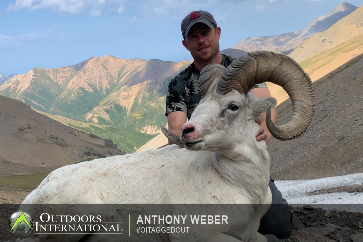 Dall Sheep Hunt Report by Anthony Weber » Outdoors International
