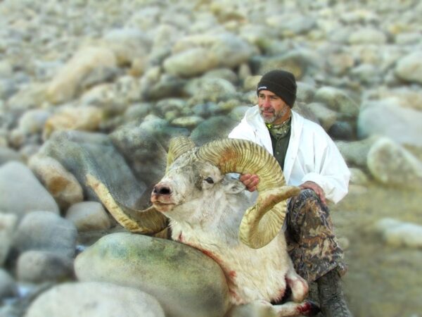 Argali Hunting Outfitters » Outdoors International