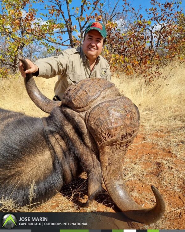 South Africa Cape Buffalo Hunts » Outdoors International