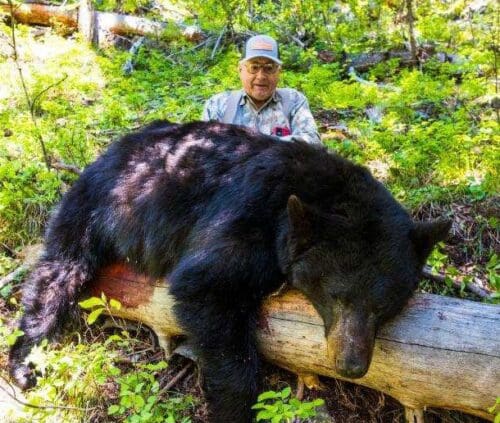Judith McLean: Idaho Black Bear Hunt Report