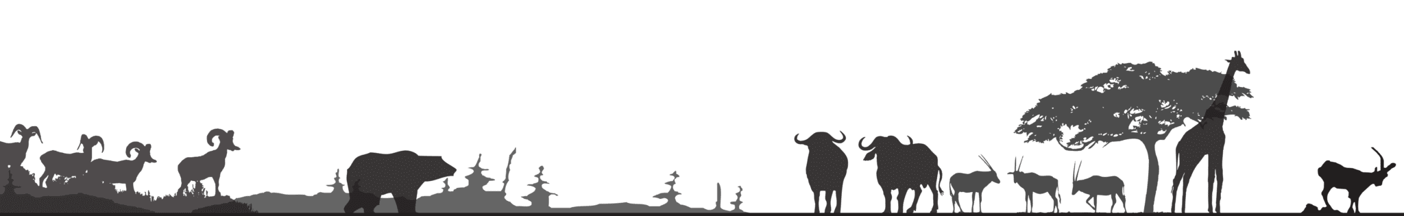 North American Sheep Slam » Outdoors International