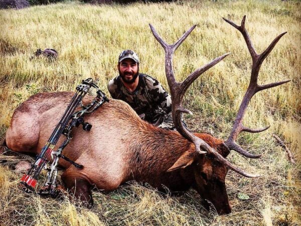 Colorado Elk Hunting Trips » Premier Outfitters