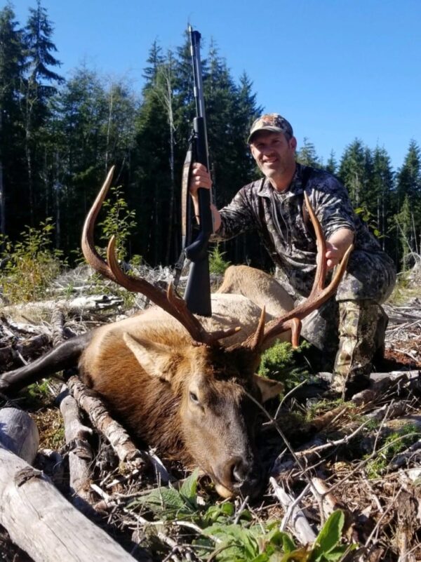 Washington Elk Hunting Trips » Premier Outfitters