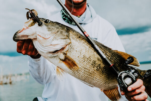 Bass Fishing In Mexico, Lake Guerrero » Outdoors International