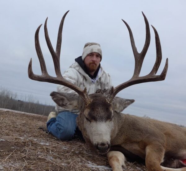 Field Judging Mule Deer » Outdoors International
