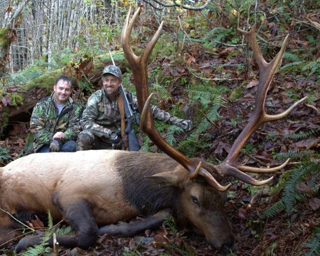 Washington Elk Hunting Trips » Premier Outfitters
