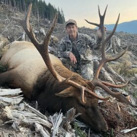 Field Judging Bull Elk » Outdoors International