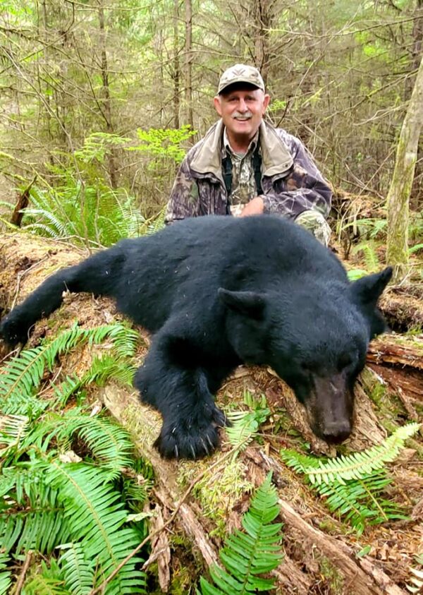 Washington Black Bear Hunting Trips