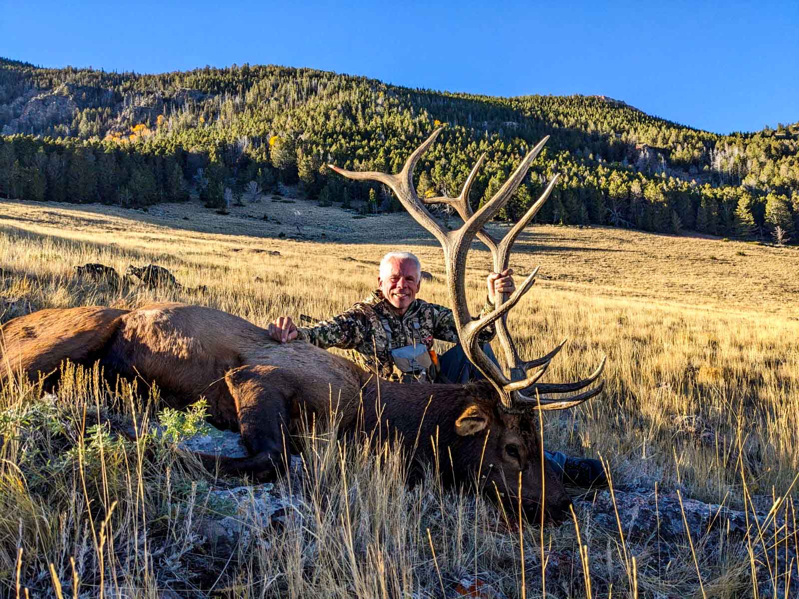 Wyoming Elk Hunting Trips » Premier Outfitters