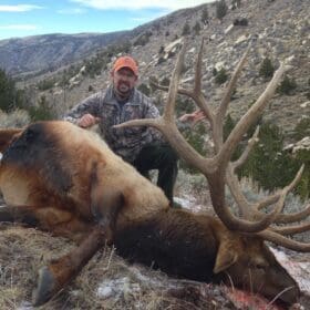 Field Judging Bull Elk » Outdoors International