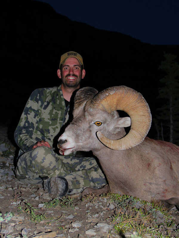 Alberta Bighorn Sheep Hunt » Outdoors International