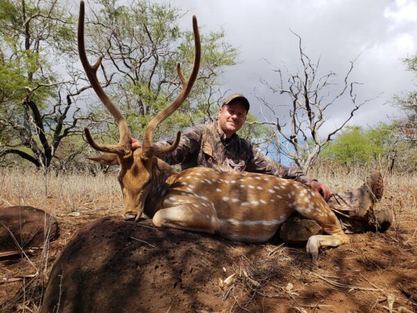 Hunting in Hawaii » Outdoors International