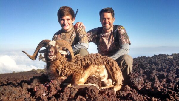 Hunting the Big Island of Hawaii » Outdoors International