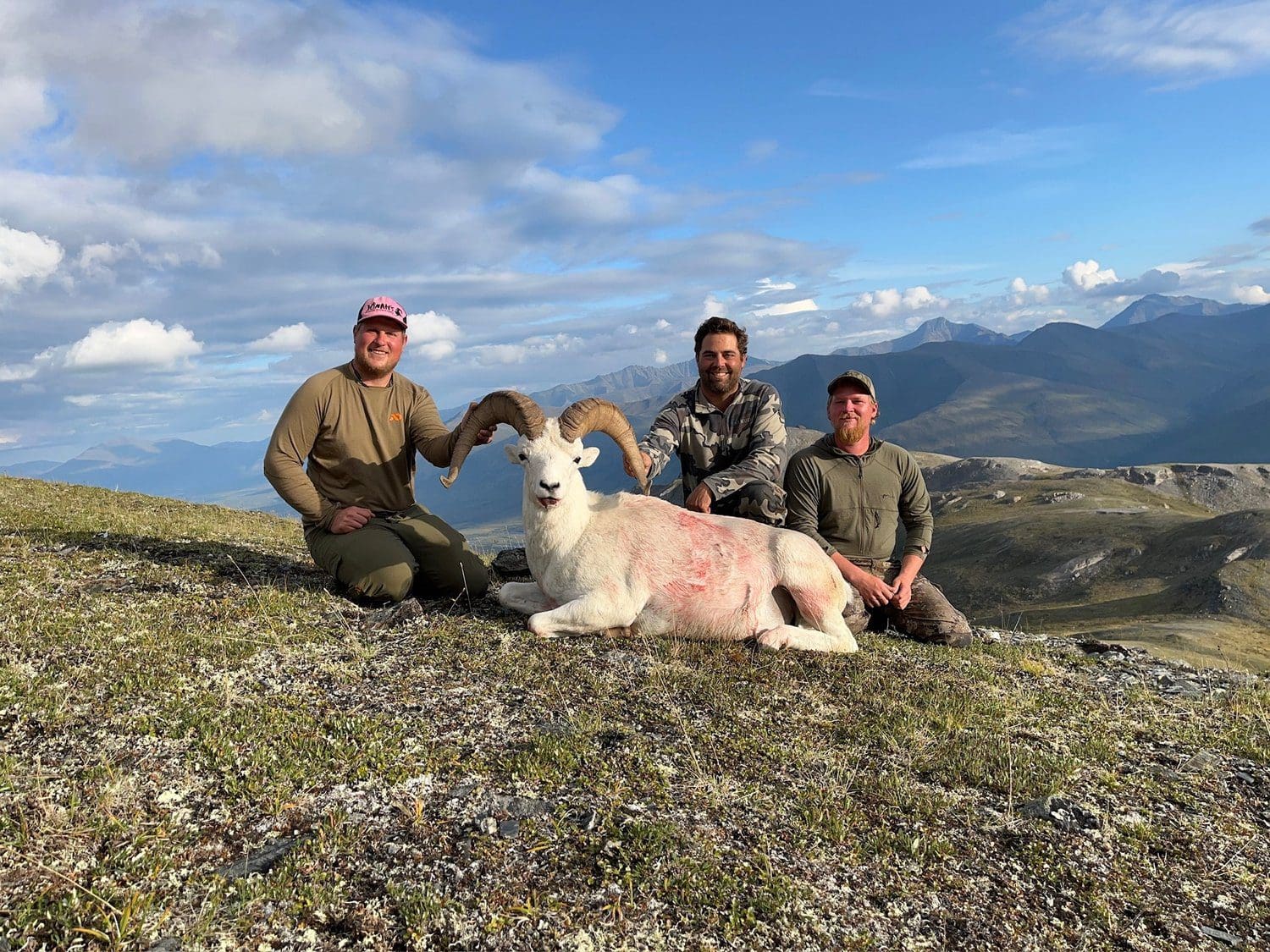 Alaska Dall Sheep Hunting Trips » Premier Outfitters
