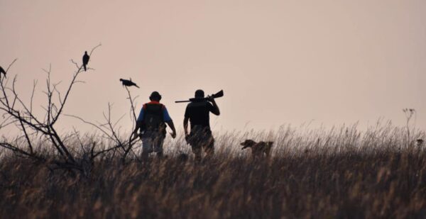 Bird Hunting in Kansas: A Complete Guide for Hunting Enthusiasts