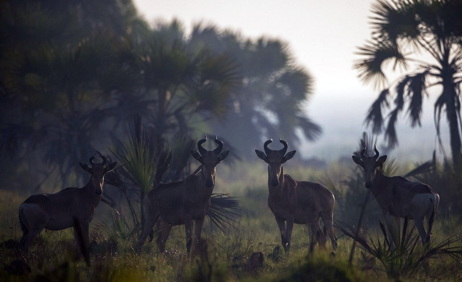 Mozambique » Travel and Sporting Destinations