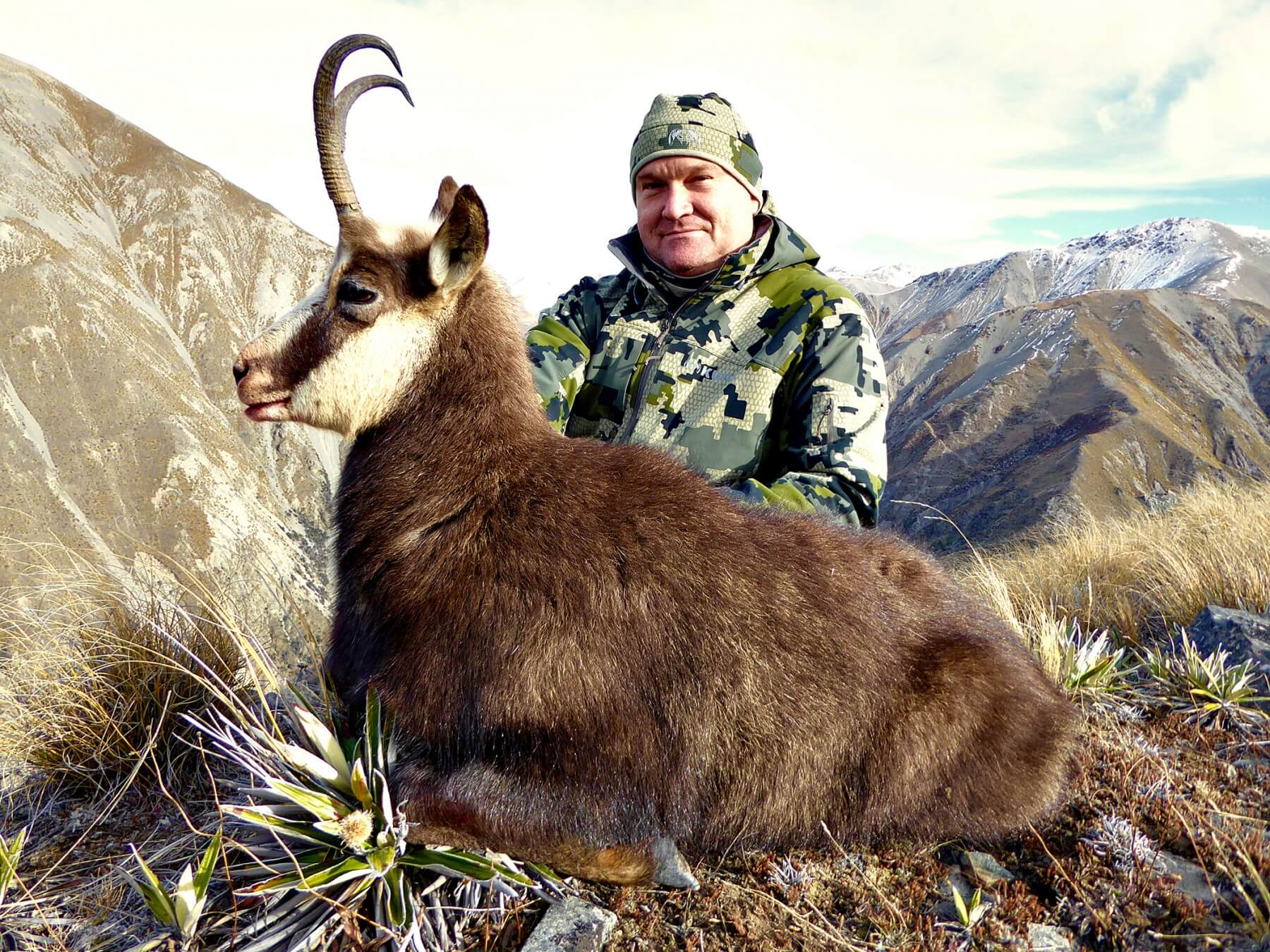 New Zealand Chamois Hunts » Outdoors International