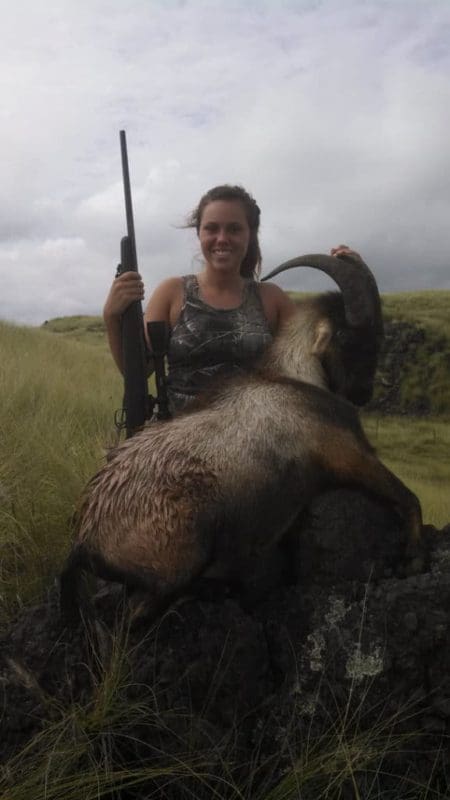 Hunting in Hawaii Big Island » Outdoors International