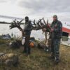 Alaska Caribou Drop Hunt » Outdoors International
