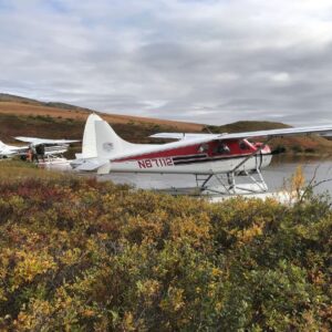 Alaska Caribou Drop Hunt » Outdoors International