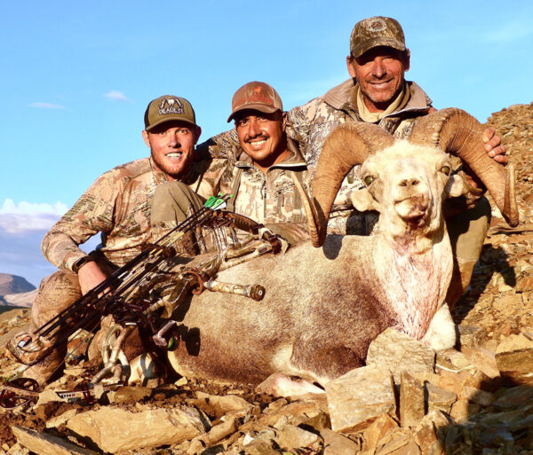 Stone Sheep Hunt in BC - Outdoors International