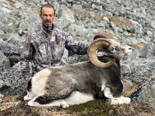 Stone Sheep Hunt in BC - Outdoors International