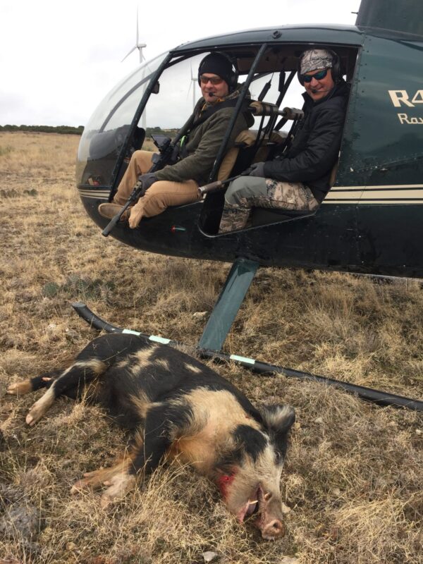 Heli Hog Hunt in Texas » Outdoors International